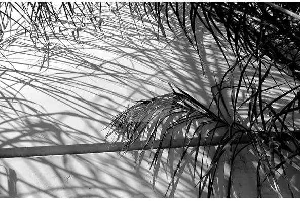 Reflections Collection Graphics - YouWorkForThem