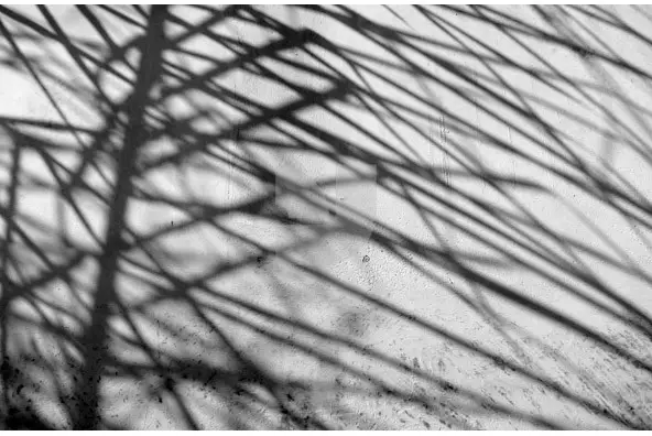 Reflections Collection Graphics - YouWorkForThem