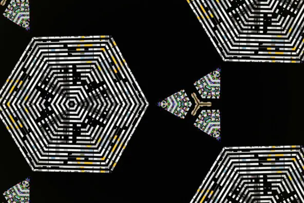 Area 51 Graphics - YouWorkForThem