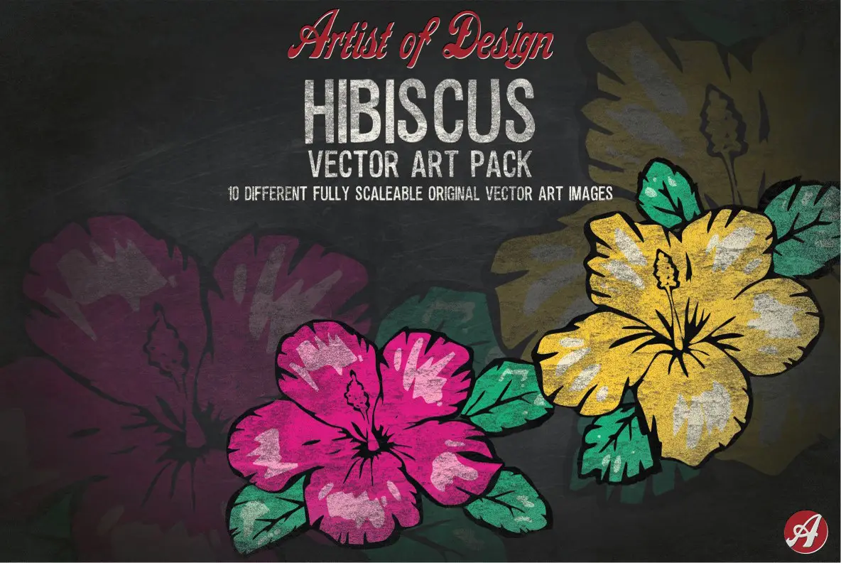 Hibiscus Graphics - YouWorkForThem