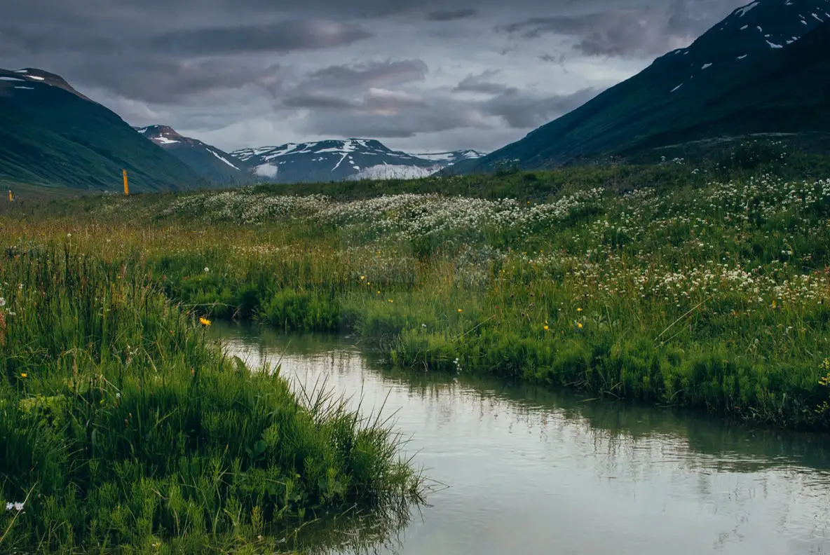 Go Explore Nature photo pack Graphics - YouWorkForThem