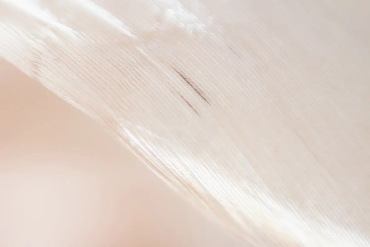 Delicate Graphics - YouWorkForThem