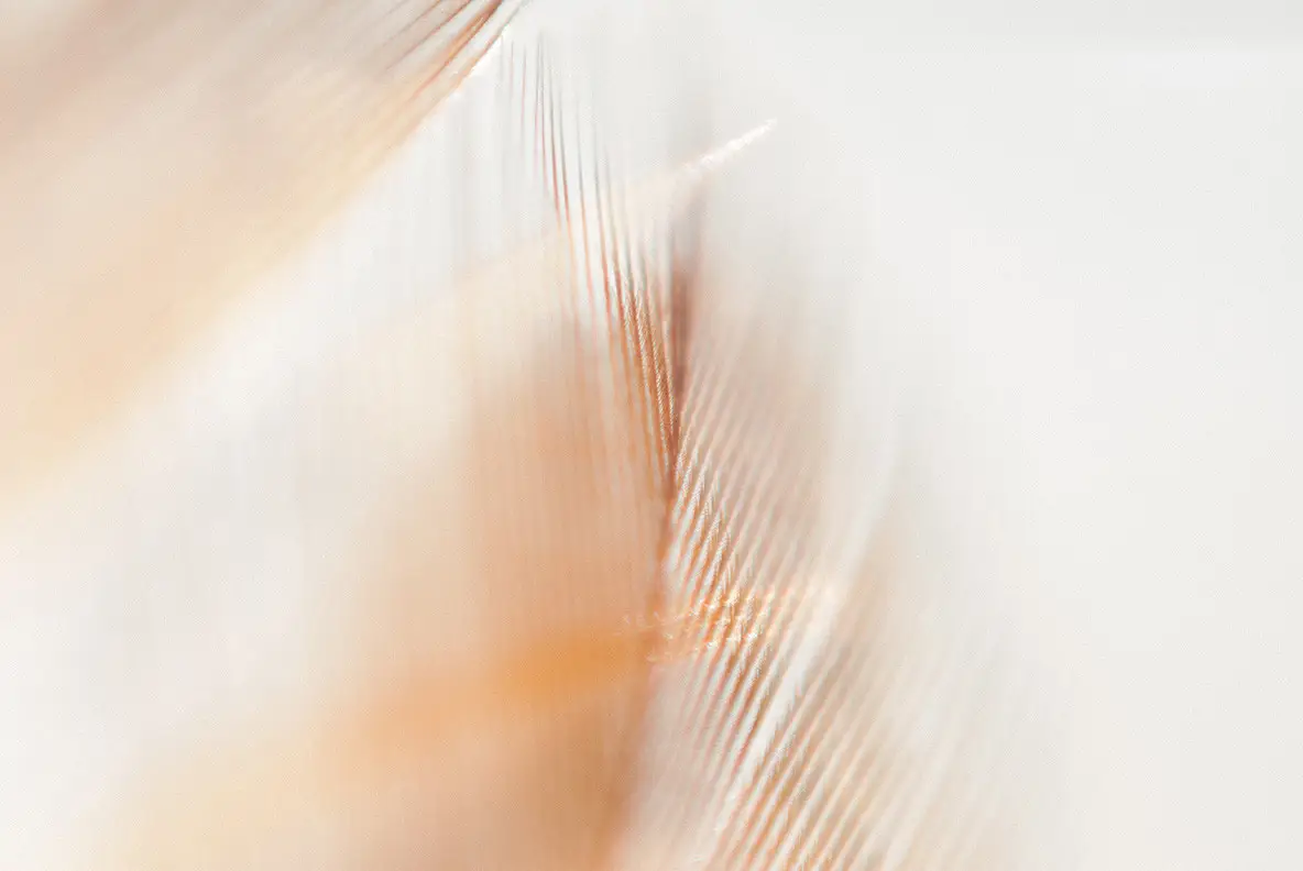 Delicate Graphics - YouWorkForThem