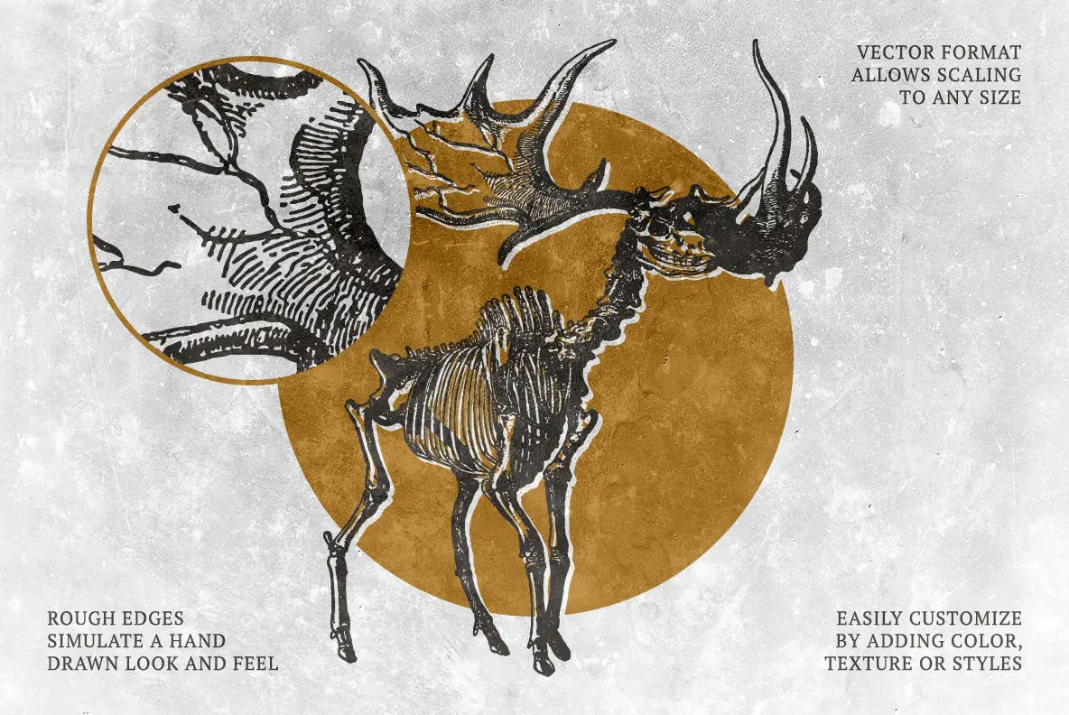 Skeletal Specimens Vol.1 Graphics - YouWorkForThem