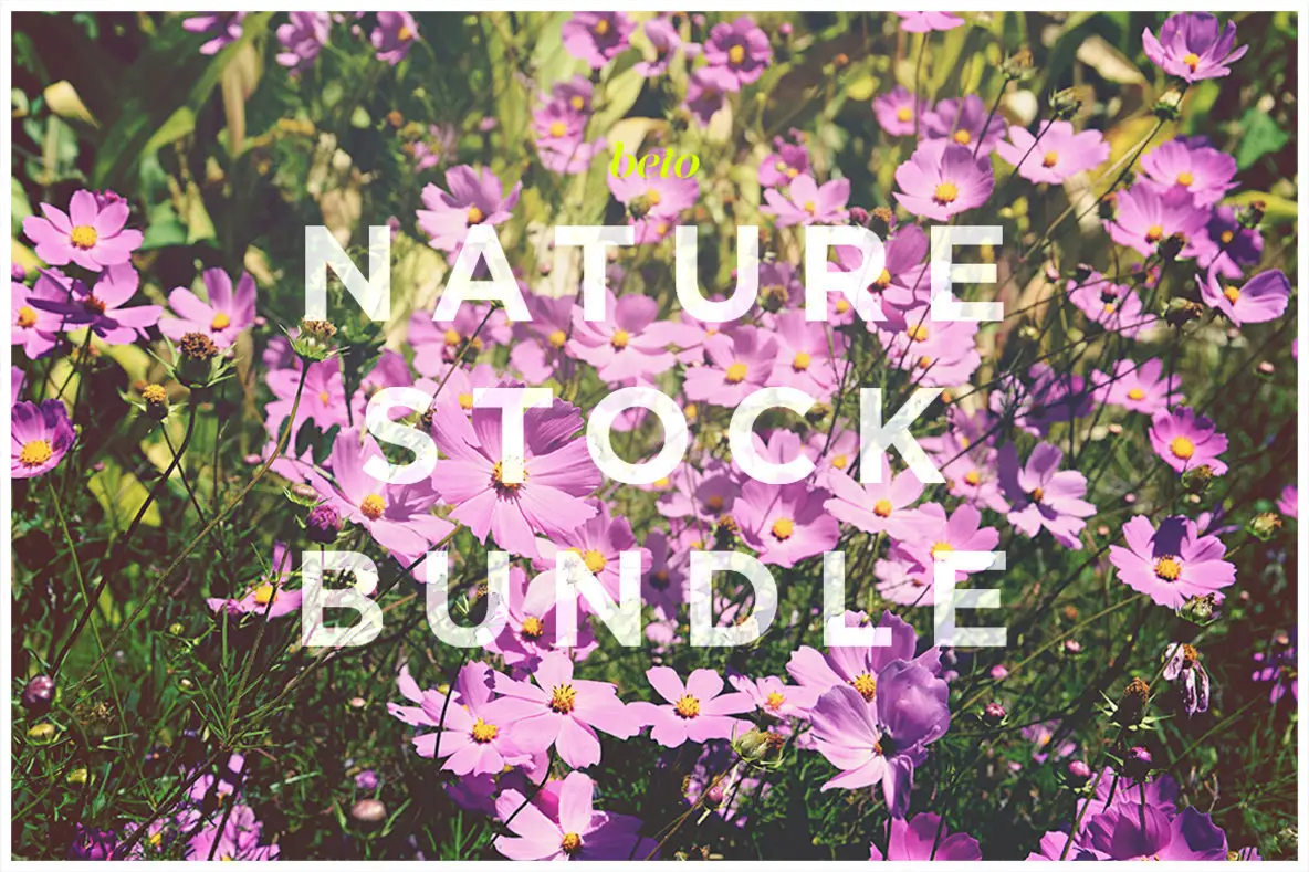 Nature Stock Bundle Nature - YouWorkForThem
