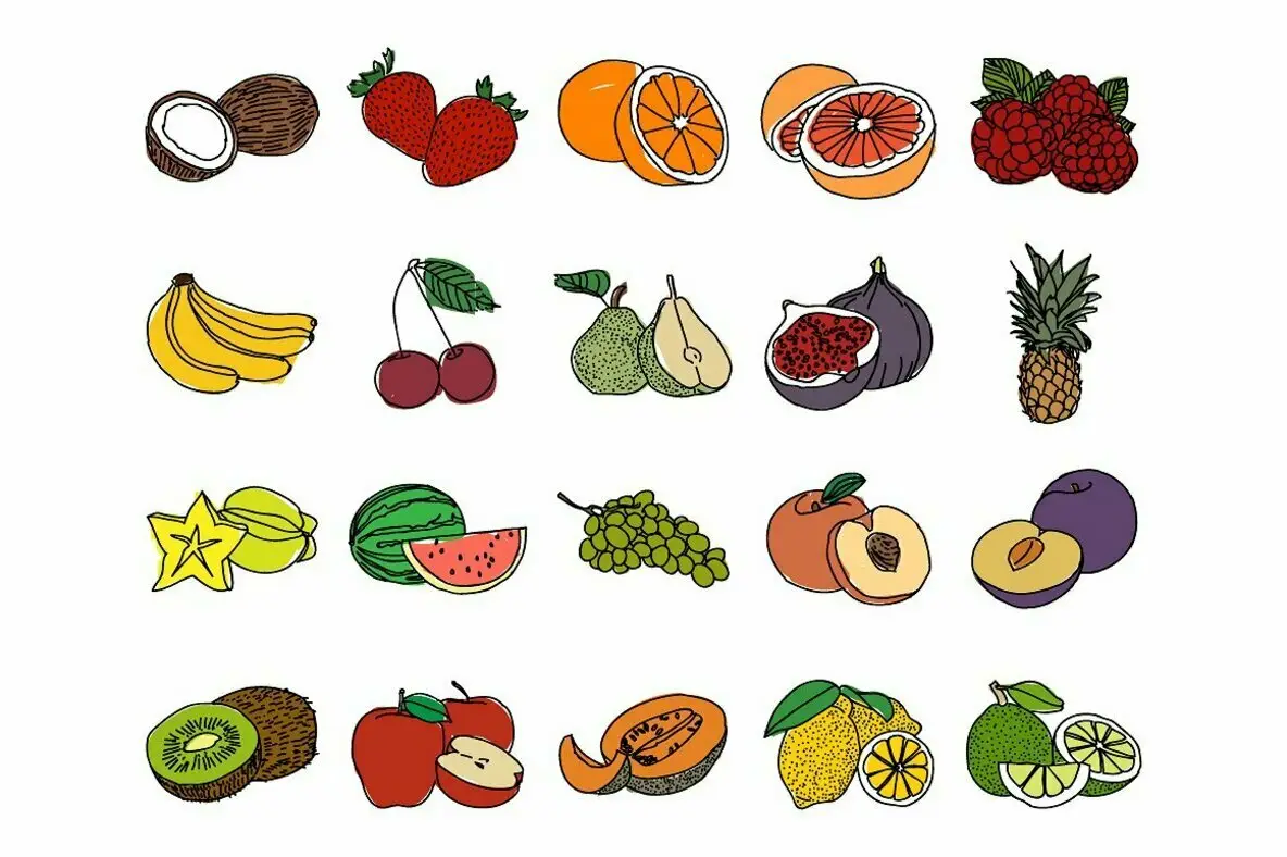 20 Hand Drawn Fruit Illustrations Graphics - YouWorkForThem