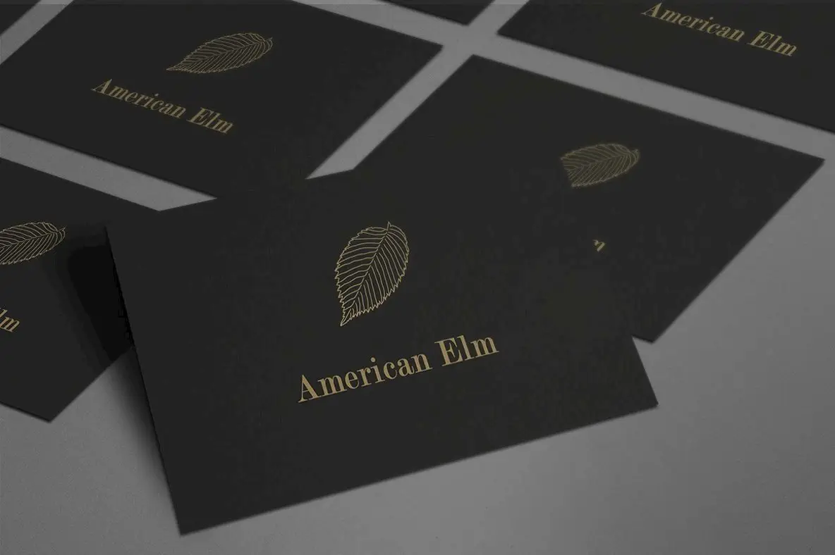 HandDrawn Leaf Library Graphics - YouWorkForThem