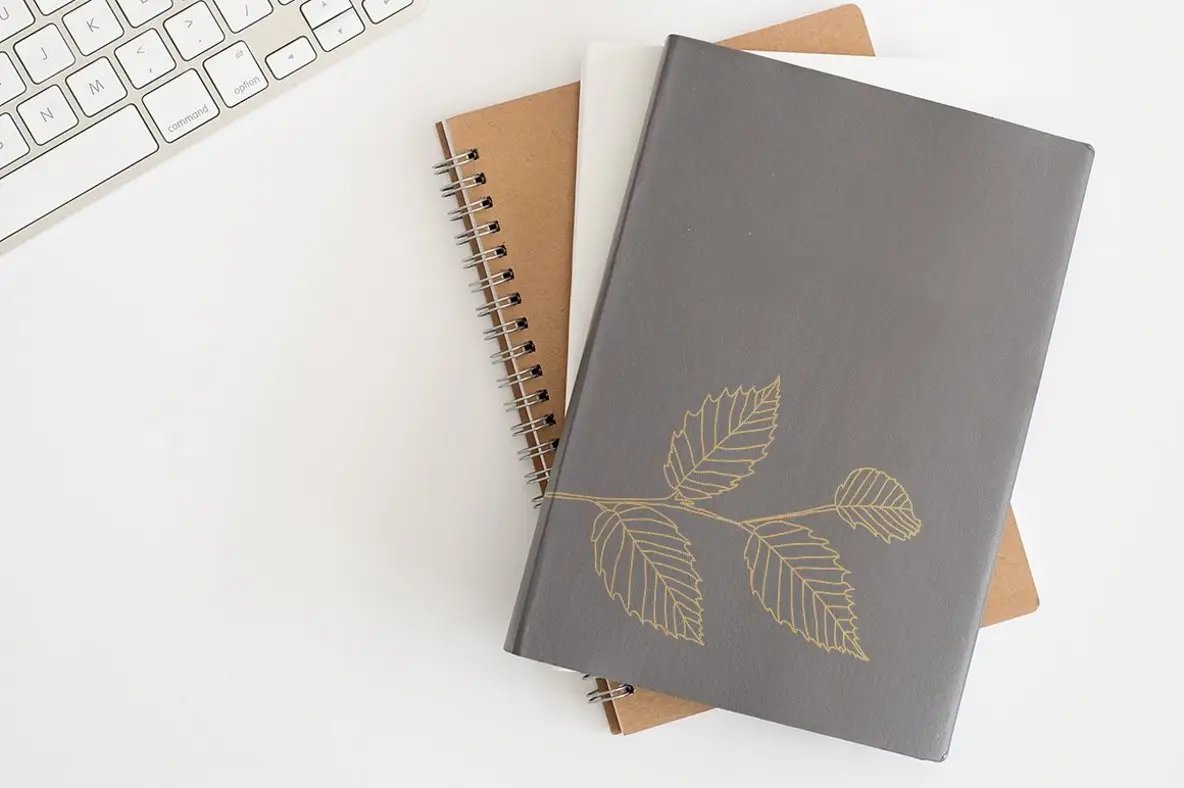 HandDrawn Leaf Library Graphics - YouWorkForThem