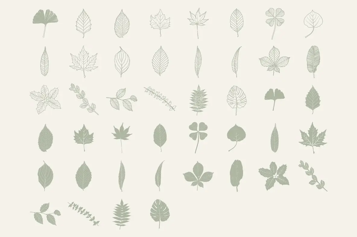 HandDrawn Leaf Library Graphics - YouWorkForThem