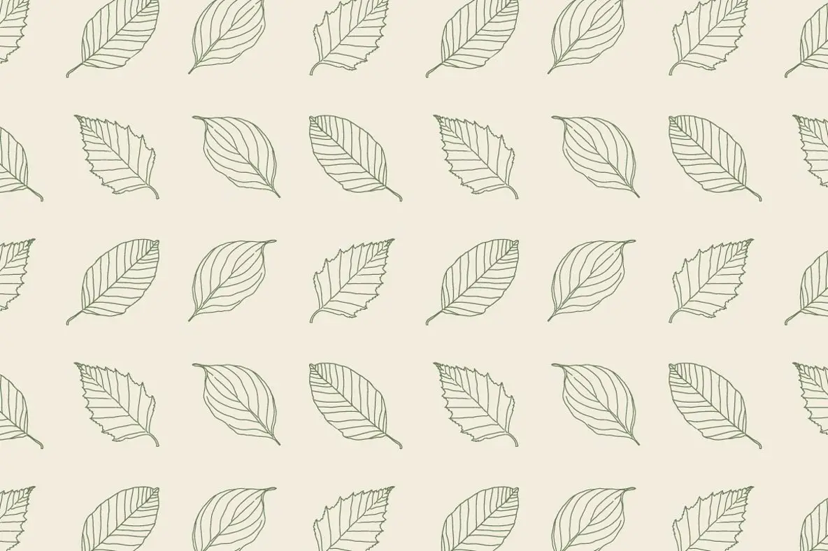 HandDrawn Leaf Library Graphics - YouWorkForThem