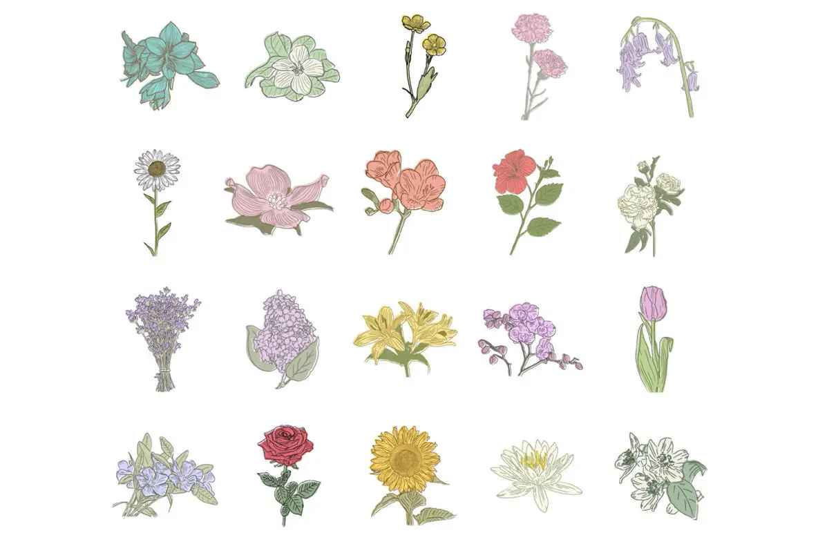 HandDrawn Flower Library Graphics - YouWorkForThem