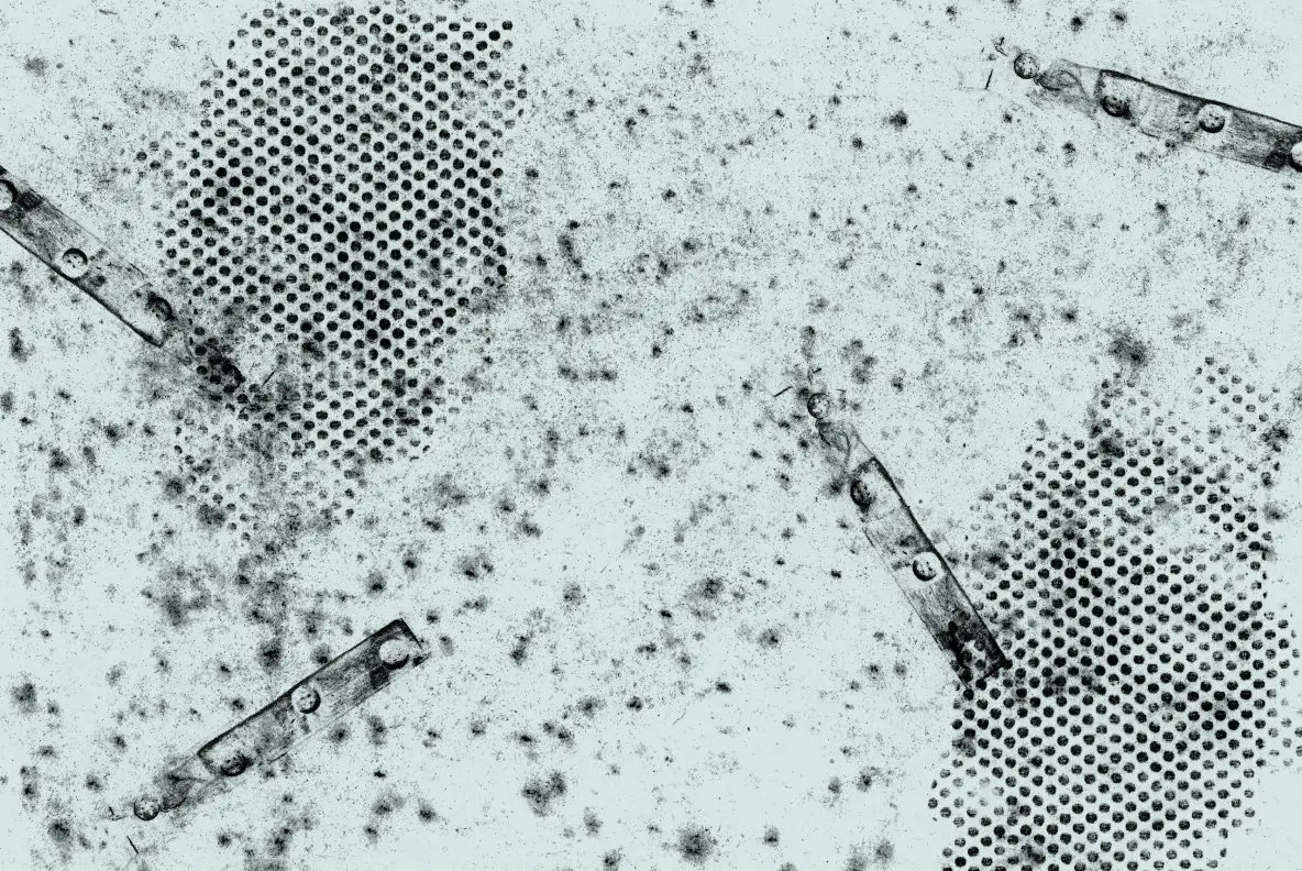 Graphite Graphics - YouWorkForThem