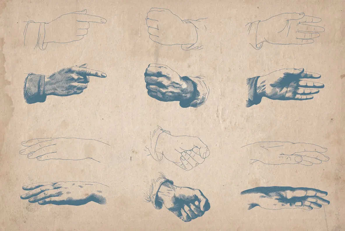 100 Vintage Hand Illustrations Graphics - YouWorkForThem