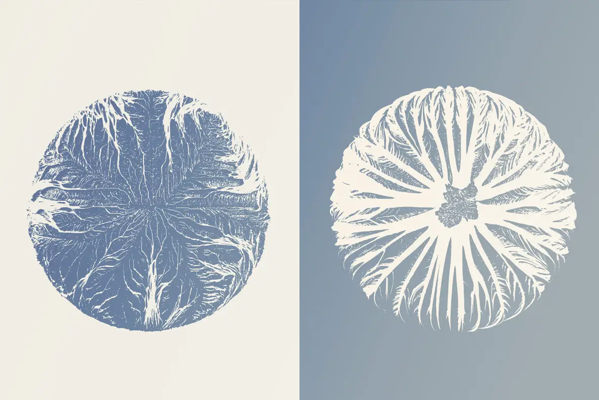 Retina Vector Illustrations Graphics - YouWorkForThem