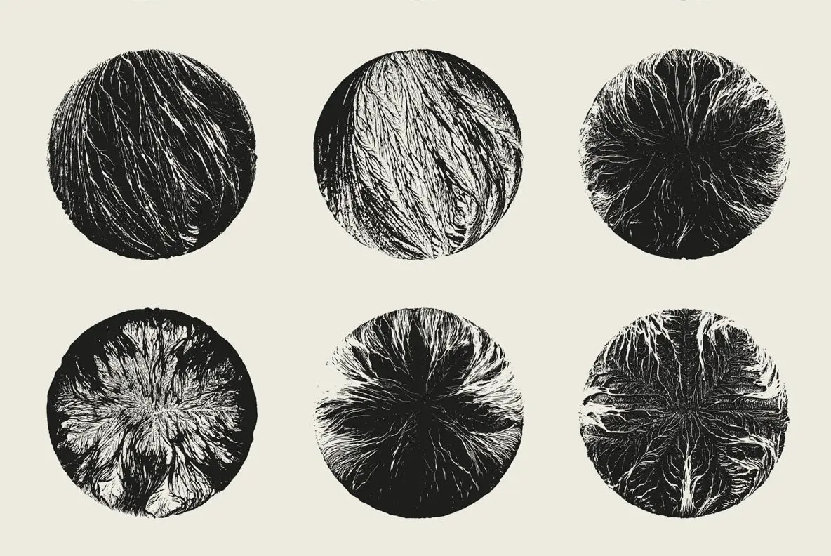 Retina Vector Illustrations Graphics - YouWorkForThem