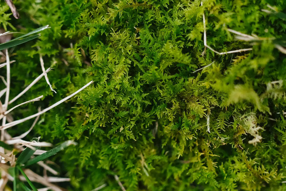 Random Backgrounds Textures - YouWorkForThem