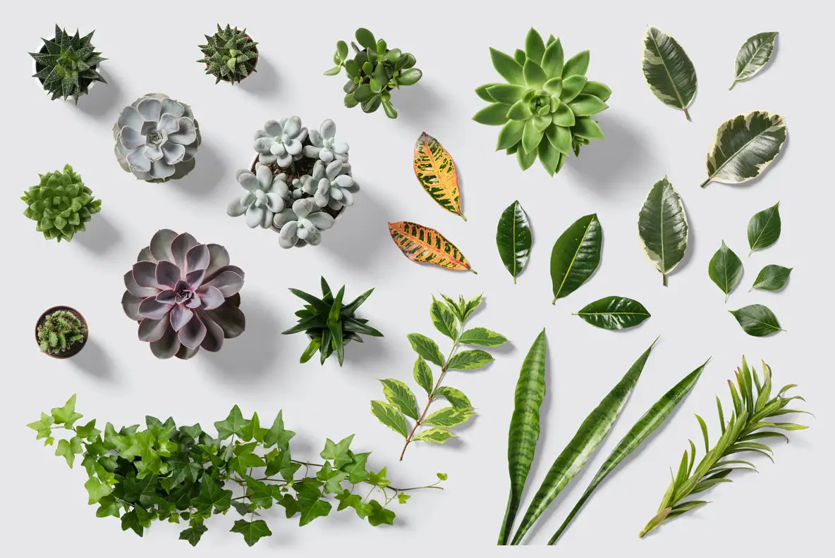 Floral Mockups and Stationery Pack Graphics - YouWorkForThem