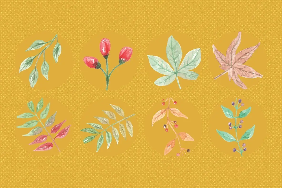 Autumn Fall Watercolor Package Graphics - YouWorkForThem
