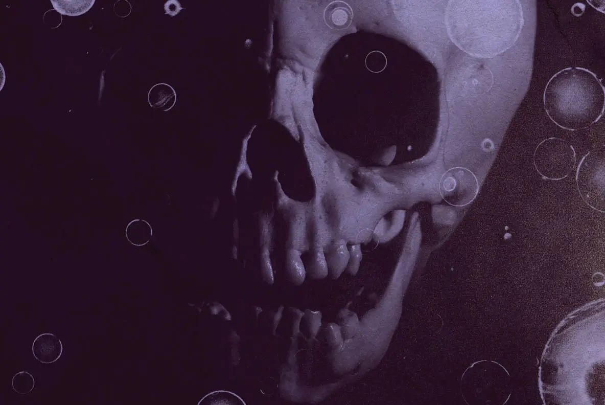 13 Skull Brushes - YouWorkForThem