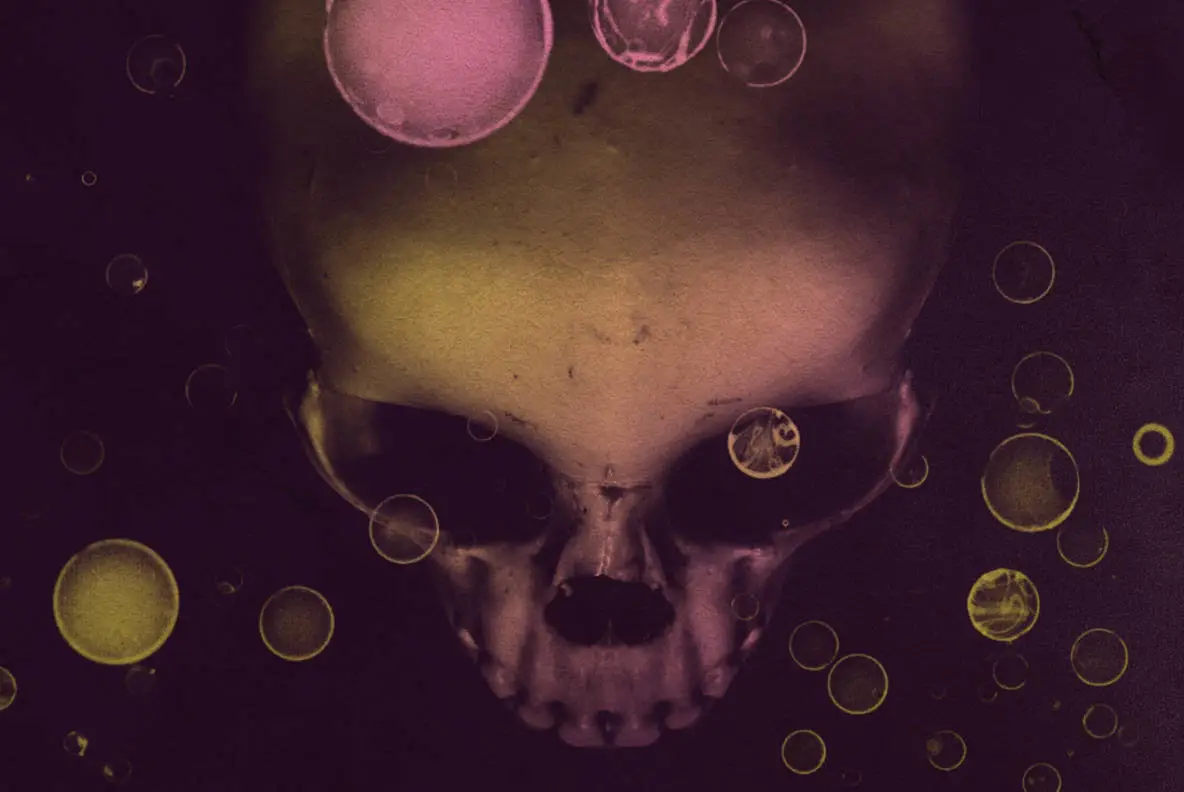 13 Skull Brushes - YouWorkForThem