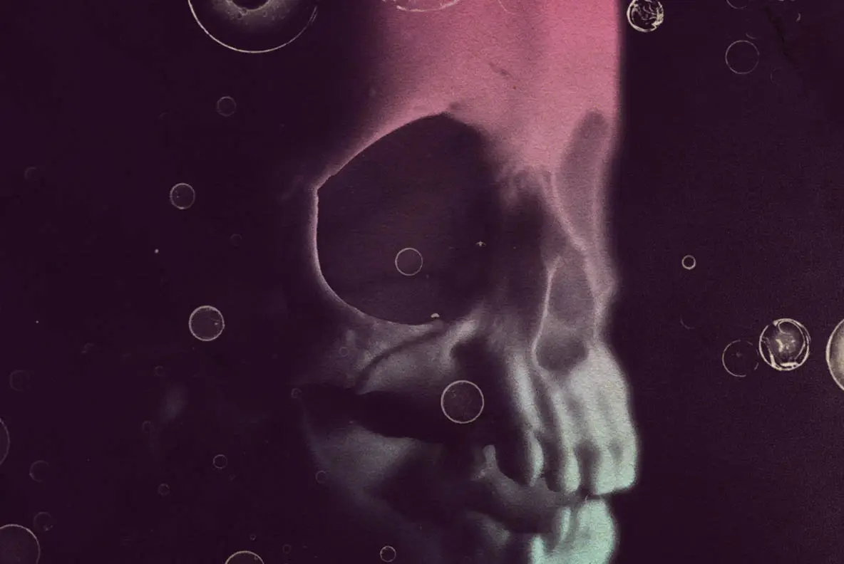 13 Skull Brushes - YouWorkForThem