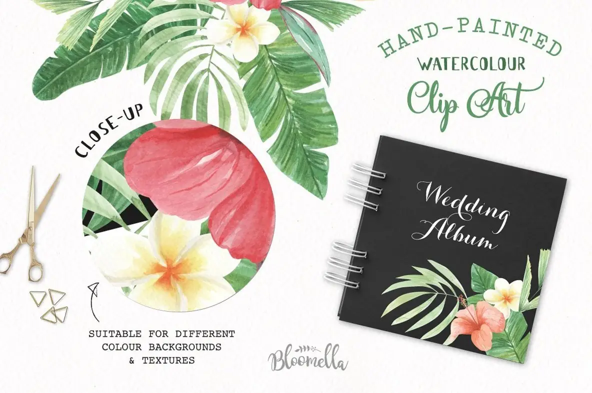 Tropical Elements Watercolor Package Graphics - YouWorkForThem