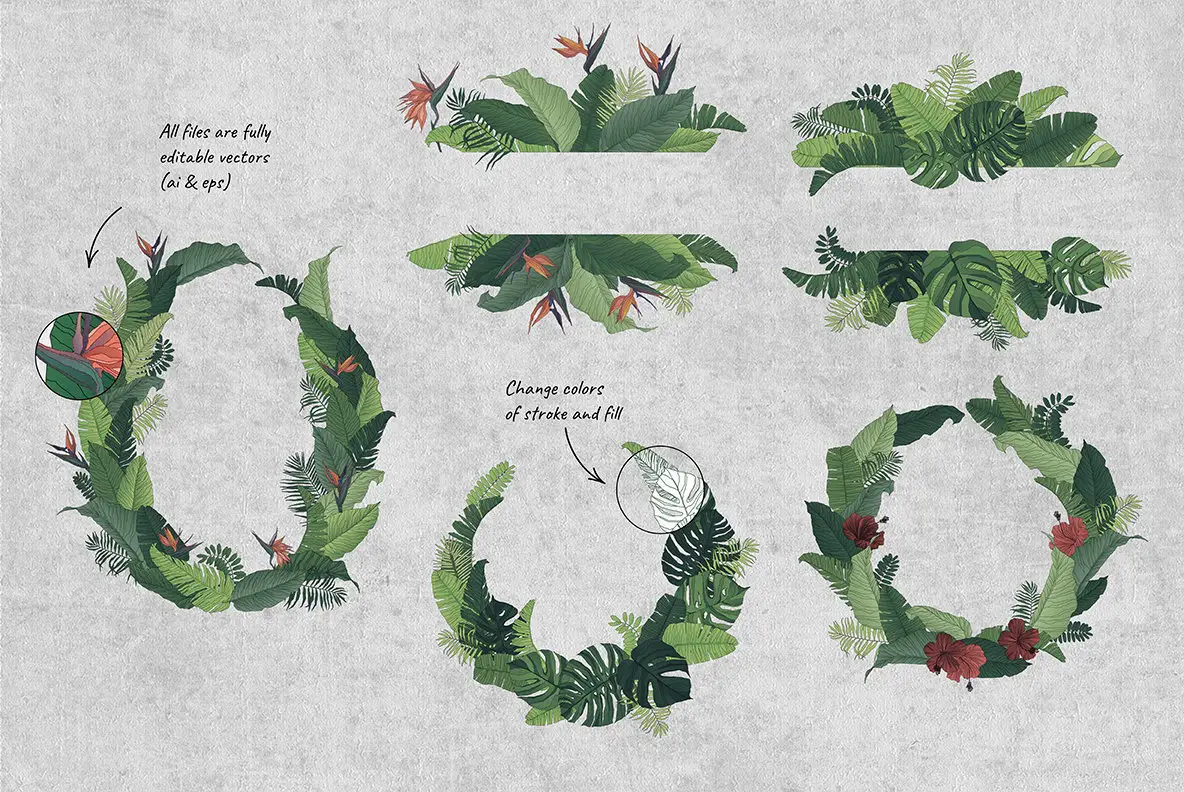 Tropical Set Graphics - YouWorkForThem