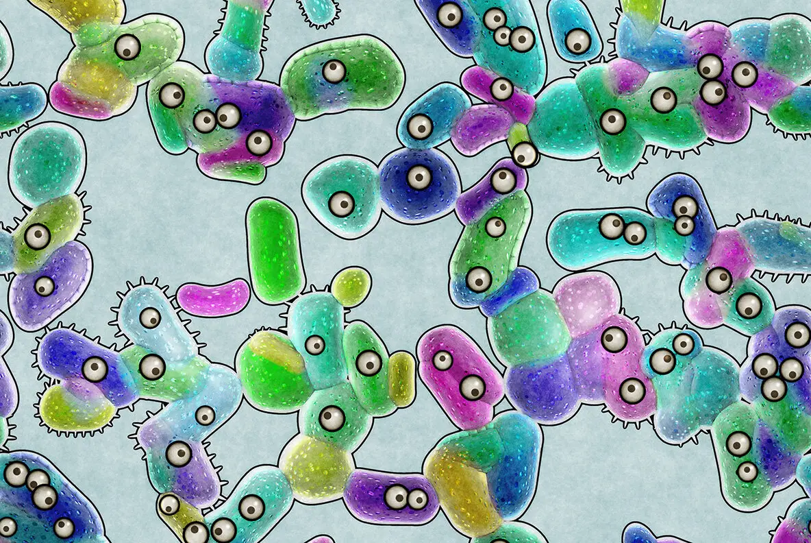 Bacteria Cell Backgrounds Graphics - YouWorkForThem