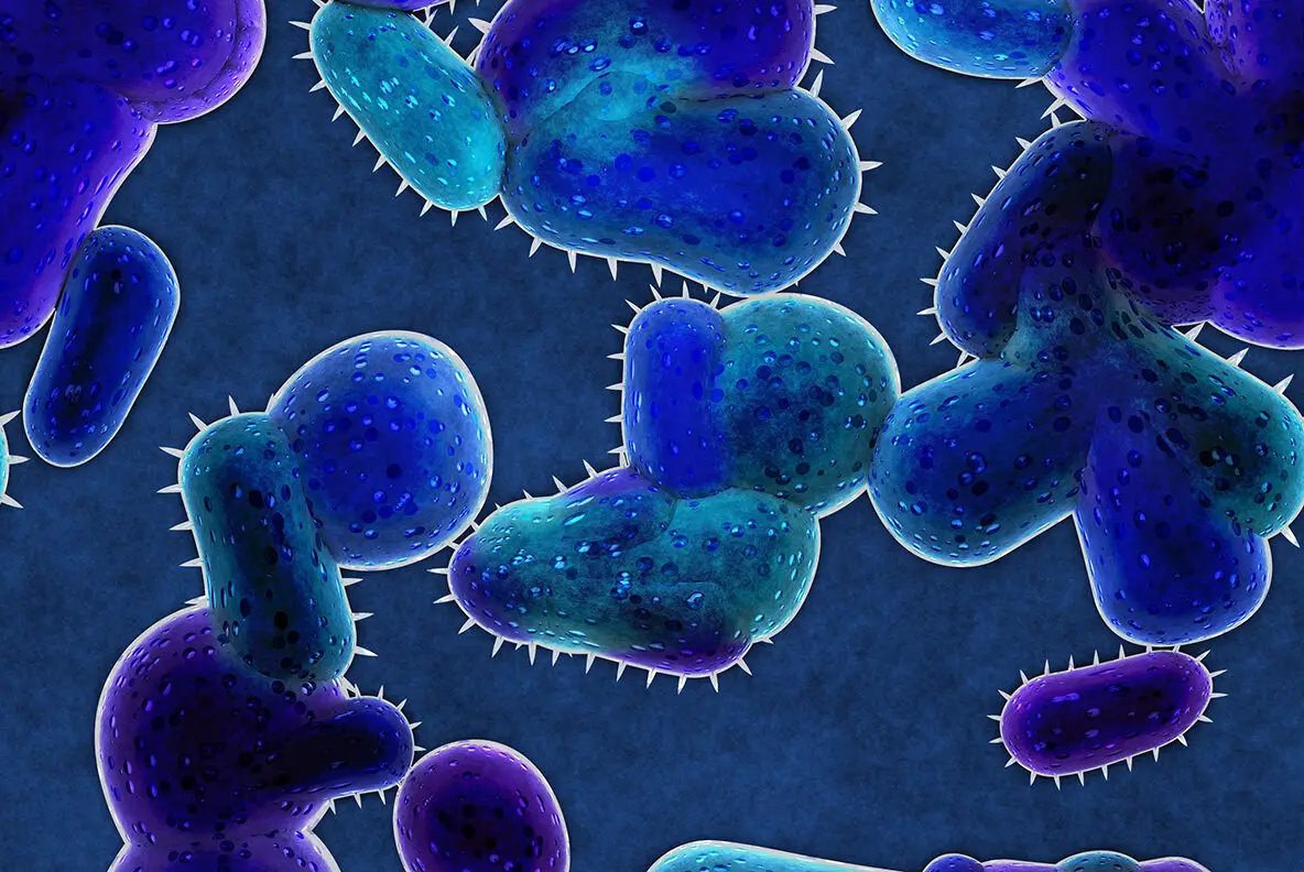 Bacteria Cell Backgrounds Graphics - YouWorkForThem