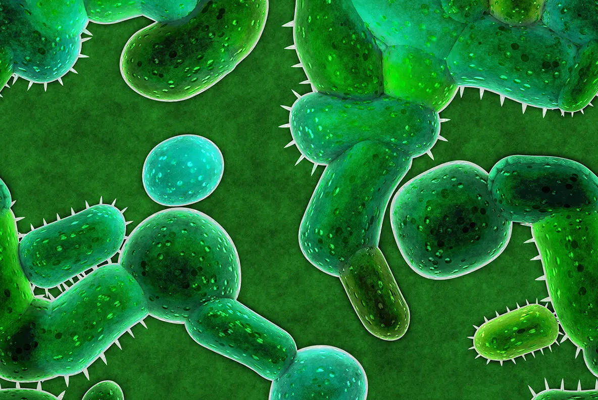 Bacteria Cell Backgrounds Graphics - YouWorkForThem