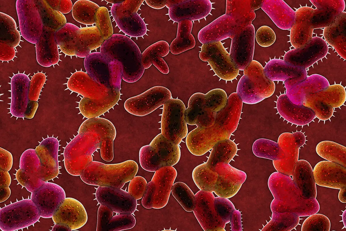 Bacteria Cell Backgrounds Graphics - YouWorkForThem