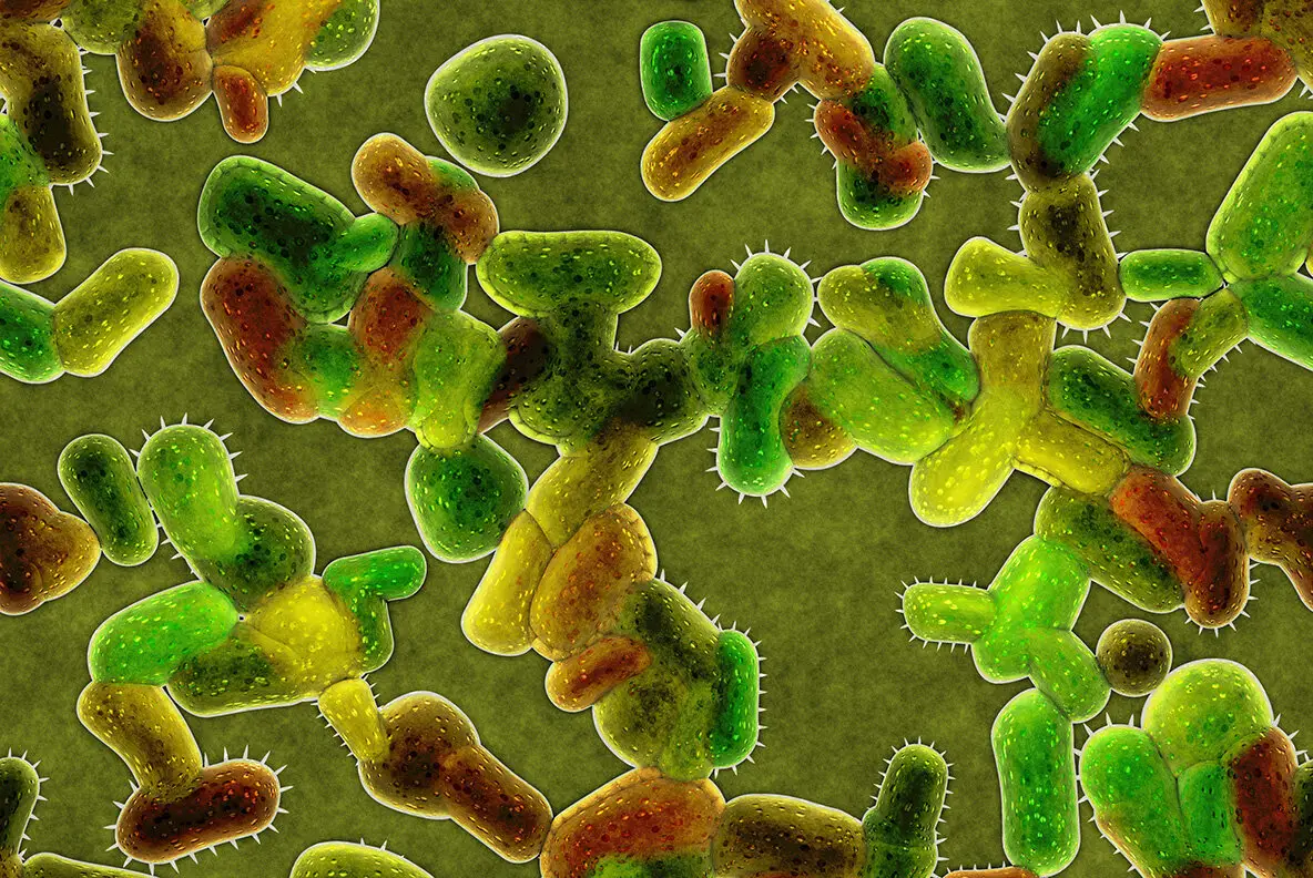 Bacteria Cell Backgrounds Graphics - YouWorkForThem