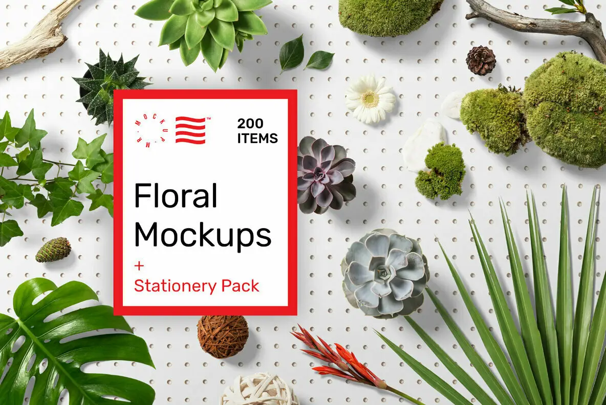 Mockup Bundle Pack - All in One Value Packs - YouWorkForThem