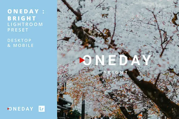 Oneday Bright Lightroom Presets - YouWorkForThem