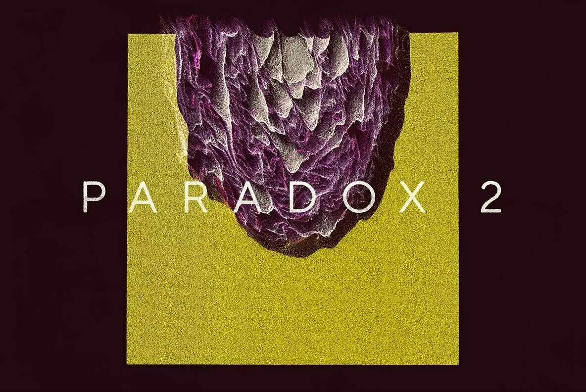 Paradox 2 Graphics - YouWorkForThem