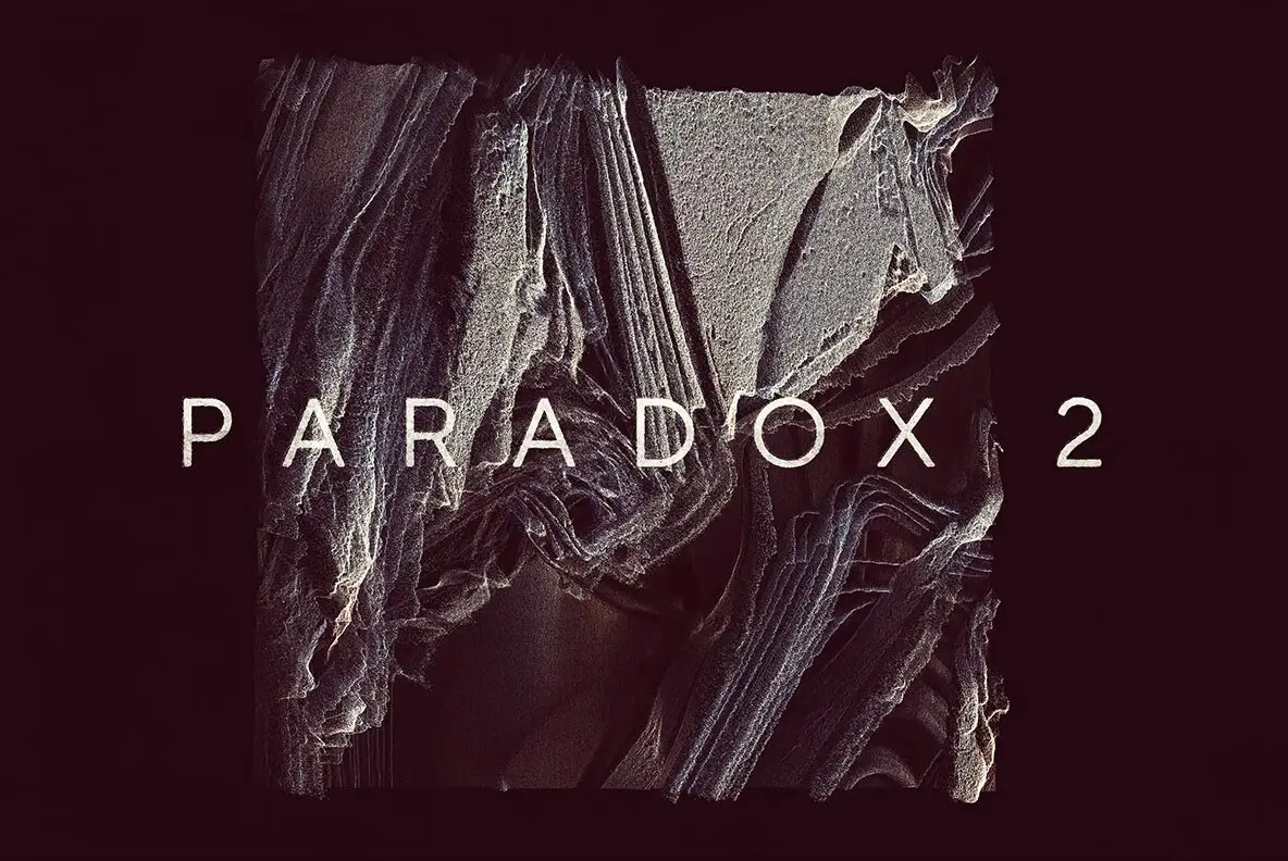 Paradox 2 Abstract - YouWorkForThem