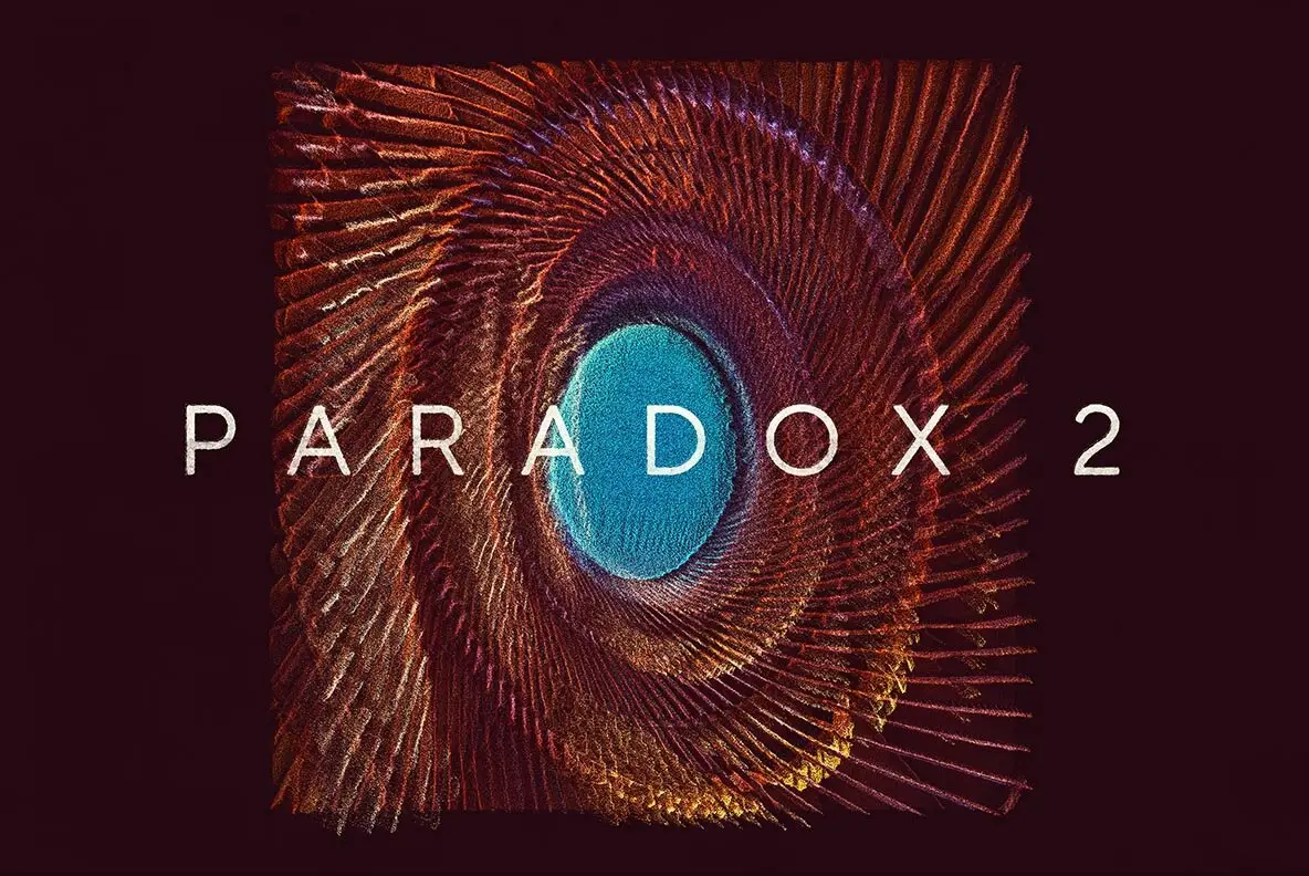 Paradox 2 Abstract - YouWorkForThem