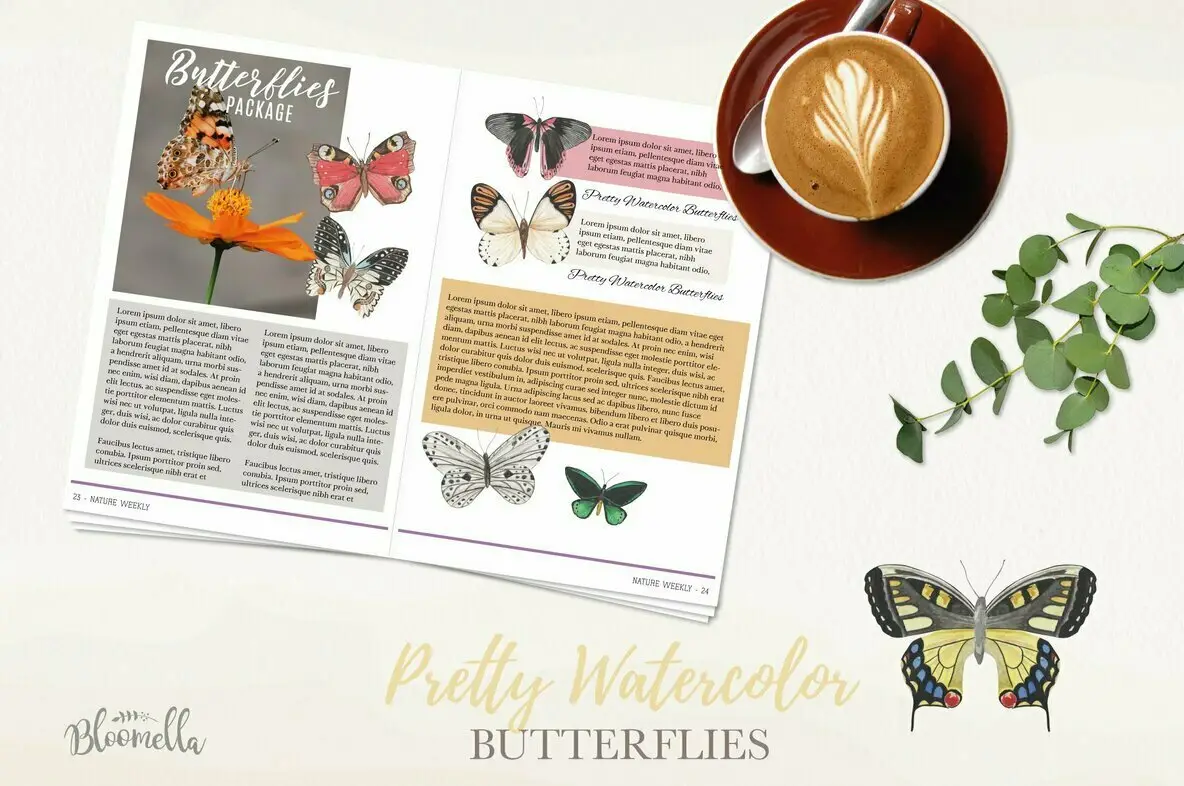 Butterfly Watercolor Package Graphics - YouWorkForThem