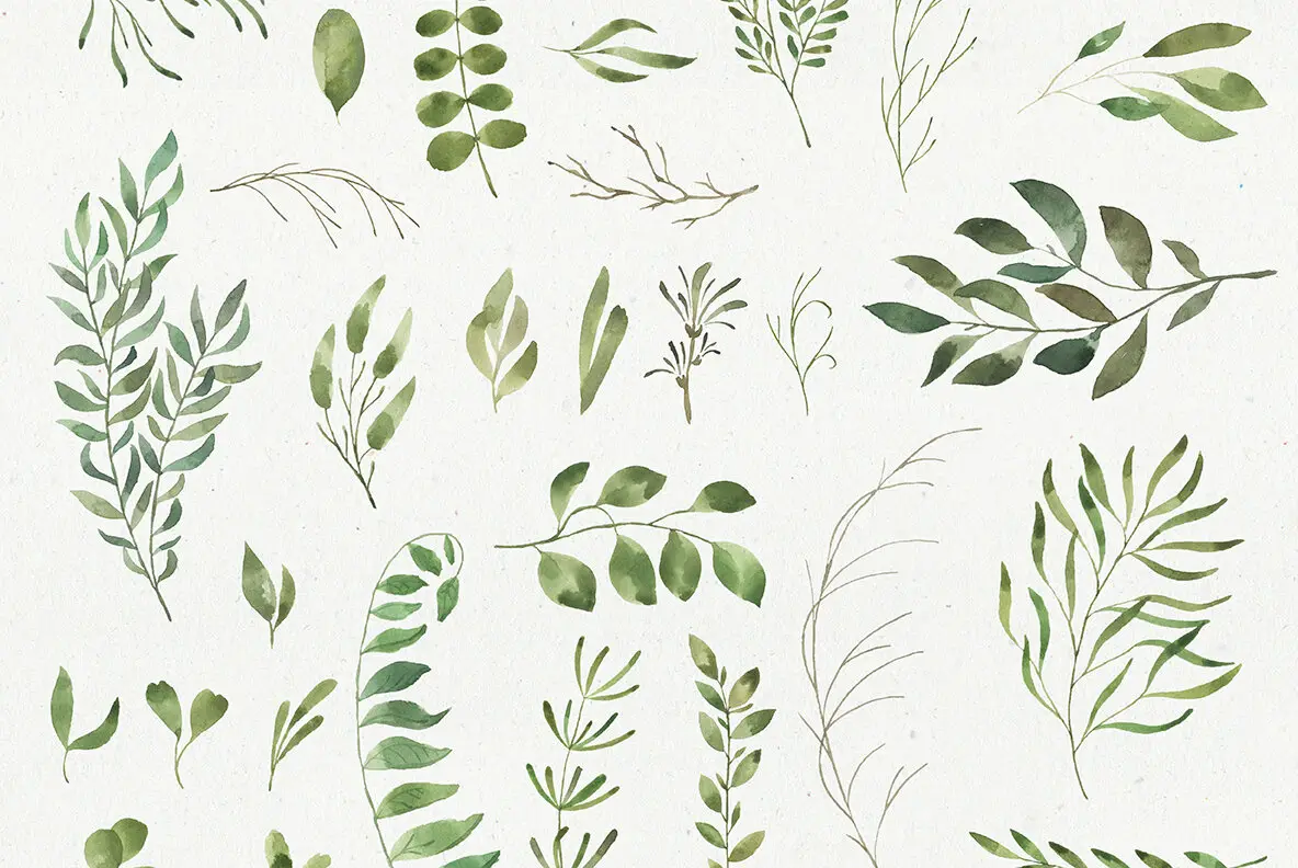 Leafy Leaf Collection Graphics - YouWorkForThem