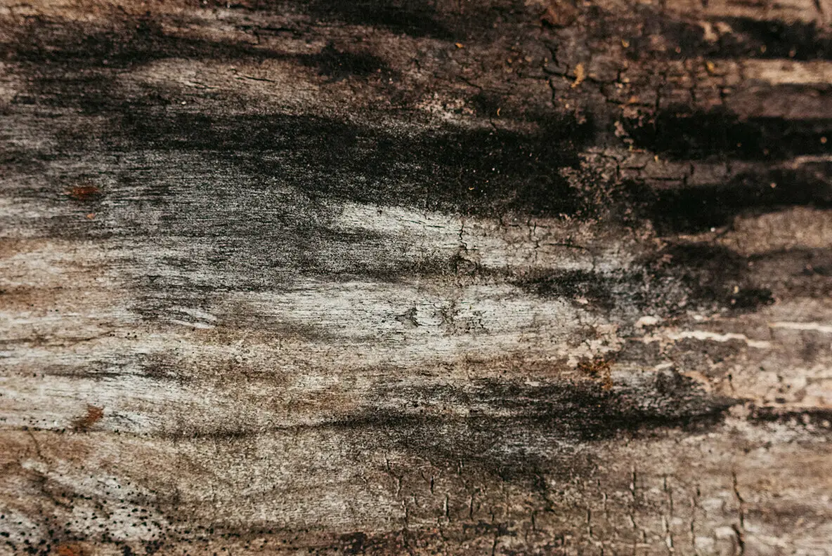 Rustic Wood Graphics - YouWorkForThem