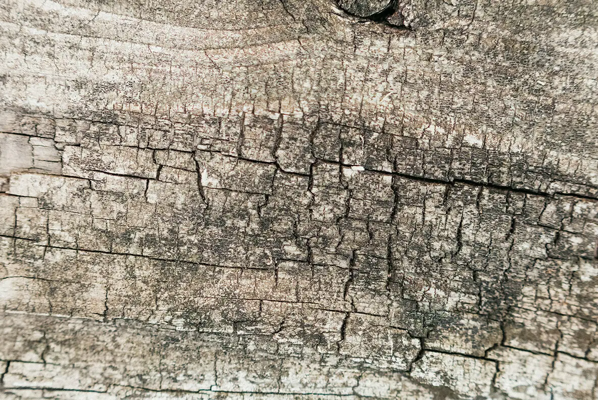 Rustic Wood Graphics - YouWorkForThem