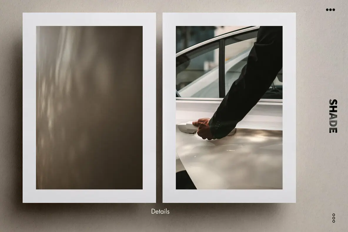 SHADE - 48 Natural and Organic Shadow Light Effects Graphics ...