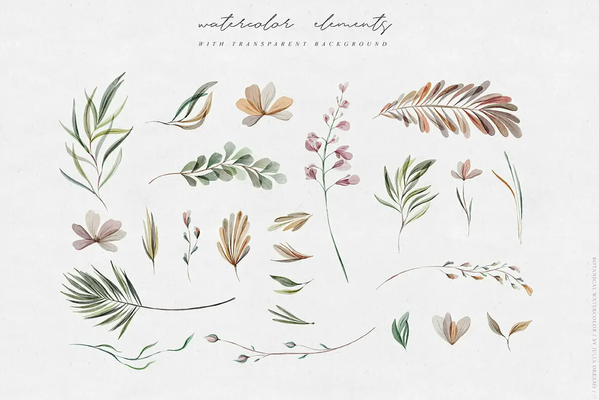 Watercolor Botanical Collection Font - FontPath