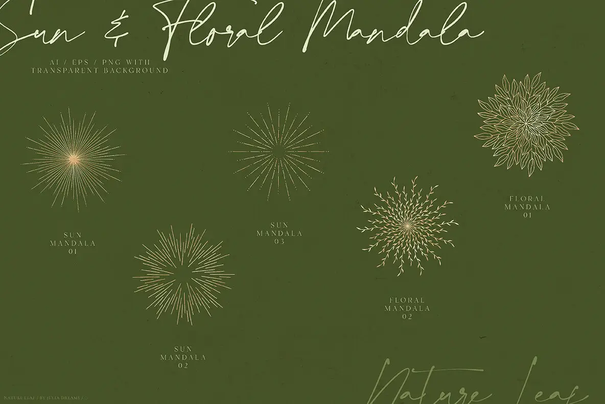 Nature Leaf Collection Graphics - YouWorkForThem