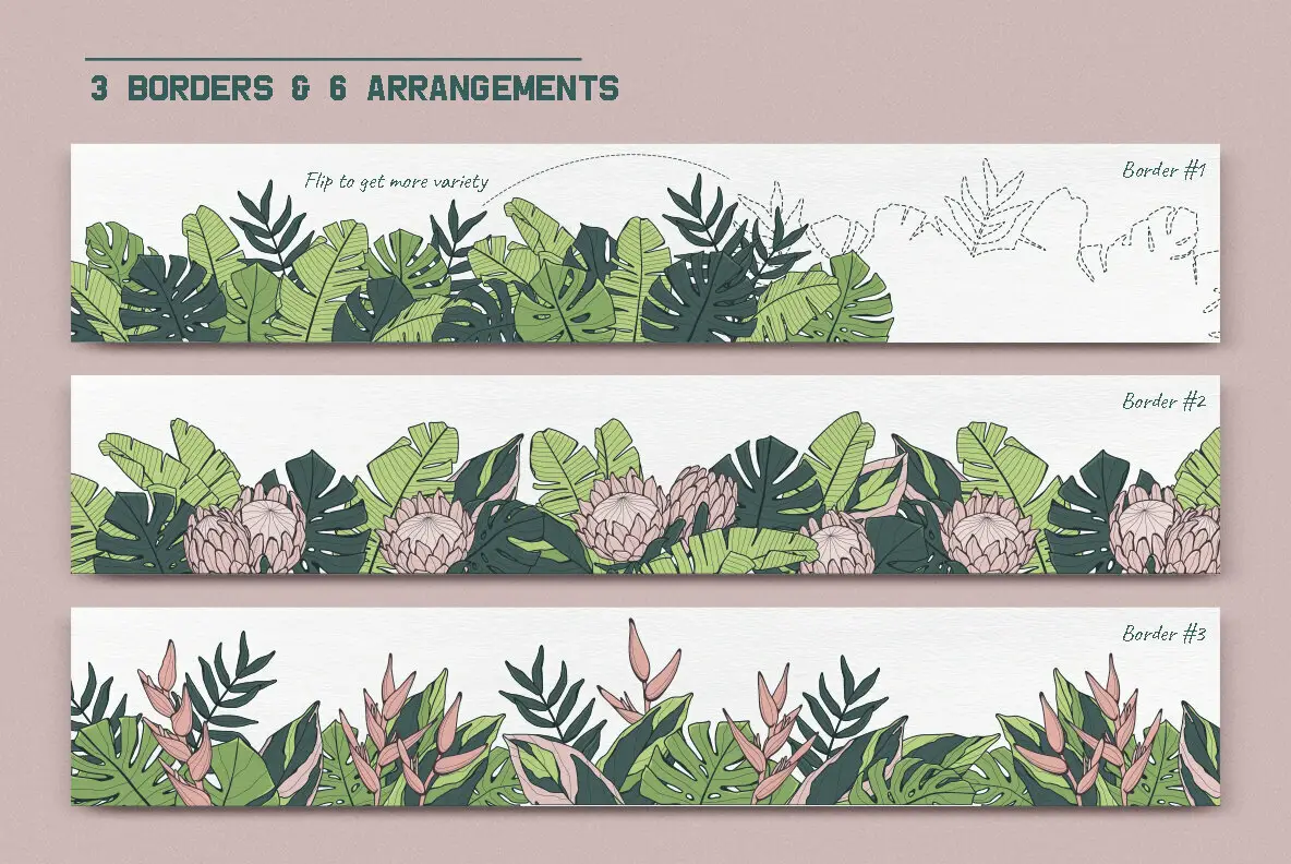 Jungle Story Illustrations - YouWorkForThem