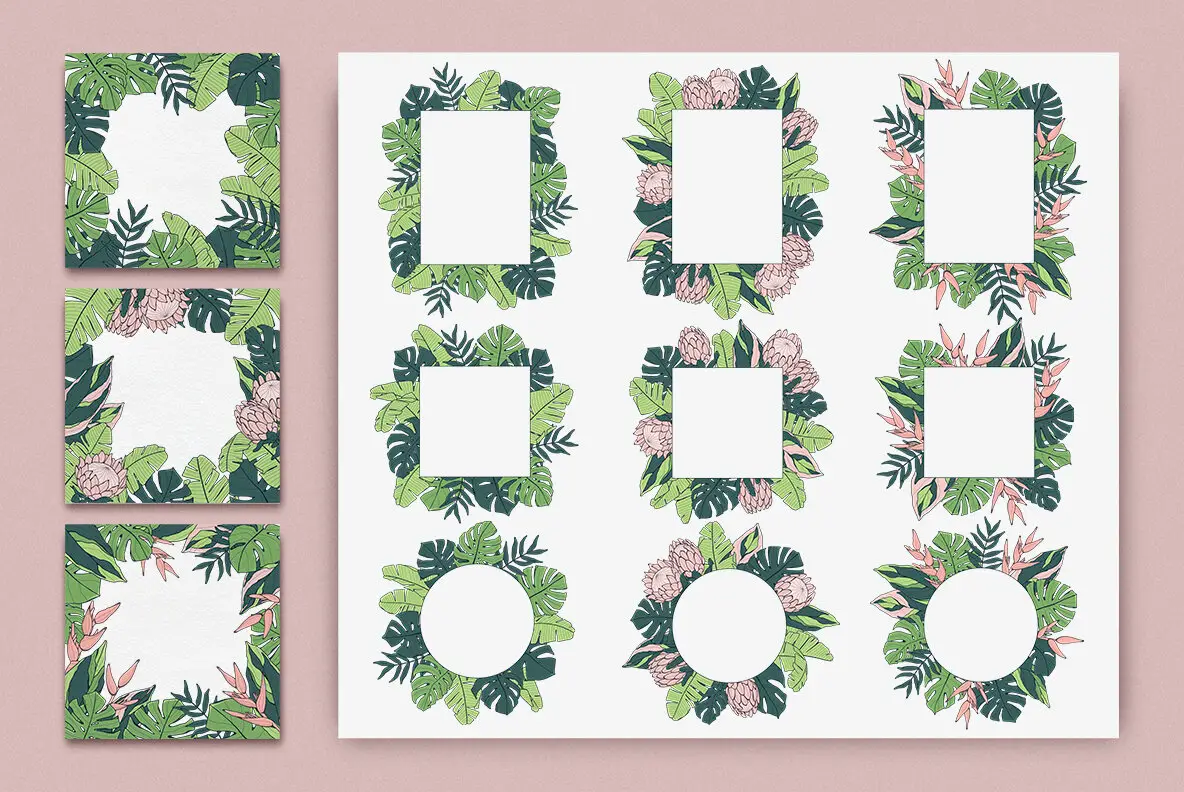 Jungle Story Illustrations - YouWorkForThem