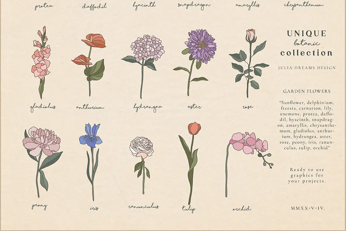 Unique Botanic Collection Graphics - YouWorkForThem