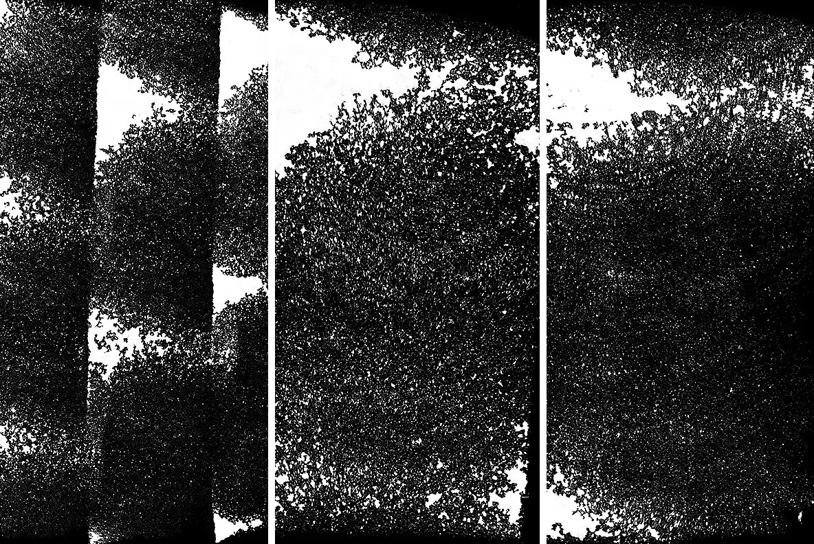 Rolled Ink Textures Volume 01 Graphics - YouWorkForThem