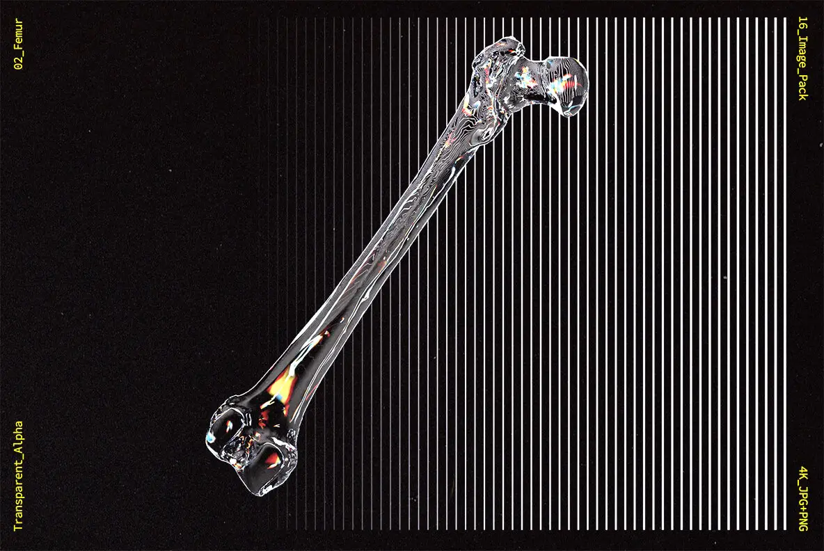 Glass Bones 3D - YouWorkForThem