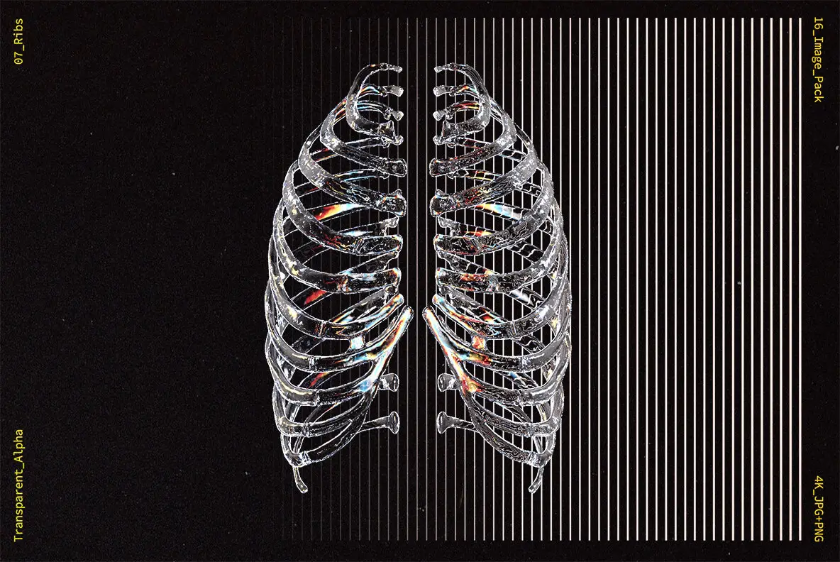 Glass Bones 3D - YouWorkForThem